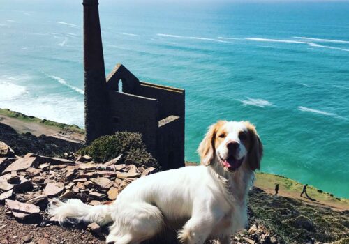 Anchor Barrow Campsite In Perranporth | Touring Site Perranporth