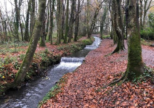 Woodland & Coastal Walks In Cornwall | Anchor Barrow